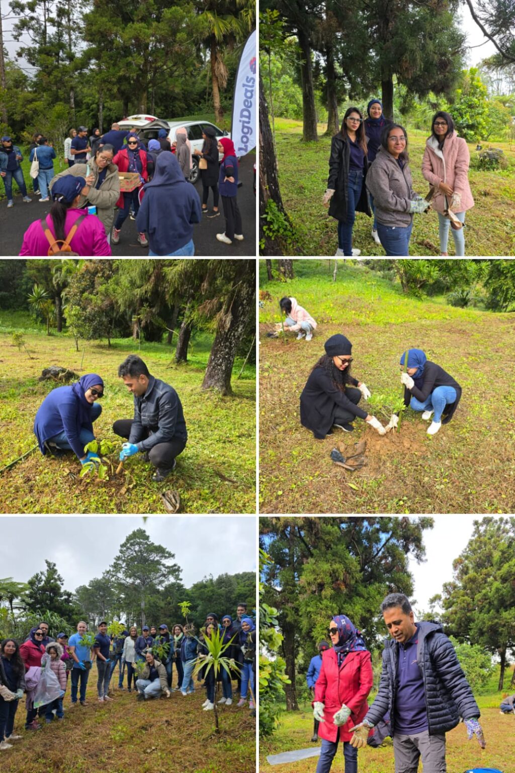 Our Team – Logi Deals Wordlink Ltd